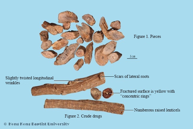 Medicinal Plant Images Database - Detail Page