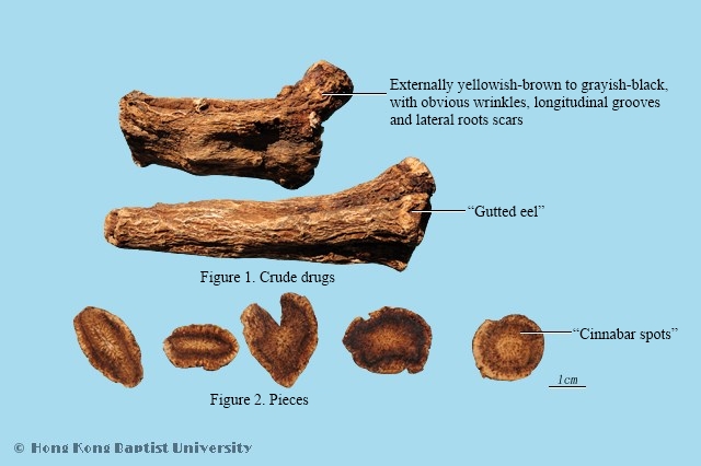 Medicinal Plant Images Database - Detail Page